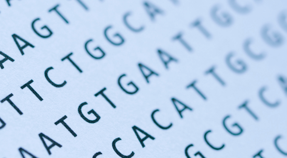 Are Home DNA Paternity Tests Accurate DNA Diagnostics Centre
