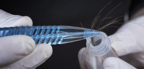 How Does a Hair DNA Test Work?